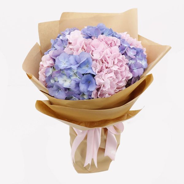 Order Now BUNCH OF PINK & PURPLE HYDRANGEAS | BlacktulipFlowers Qatar