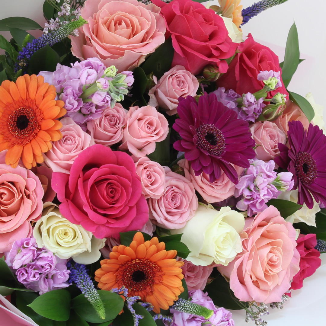It's a Special Day | Mixed Flowers Qatar | Black Tulip Flowers