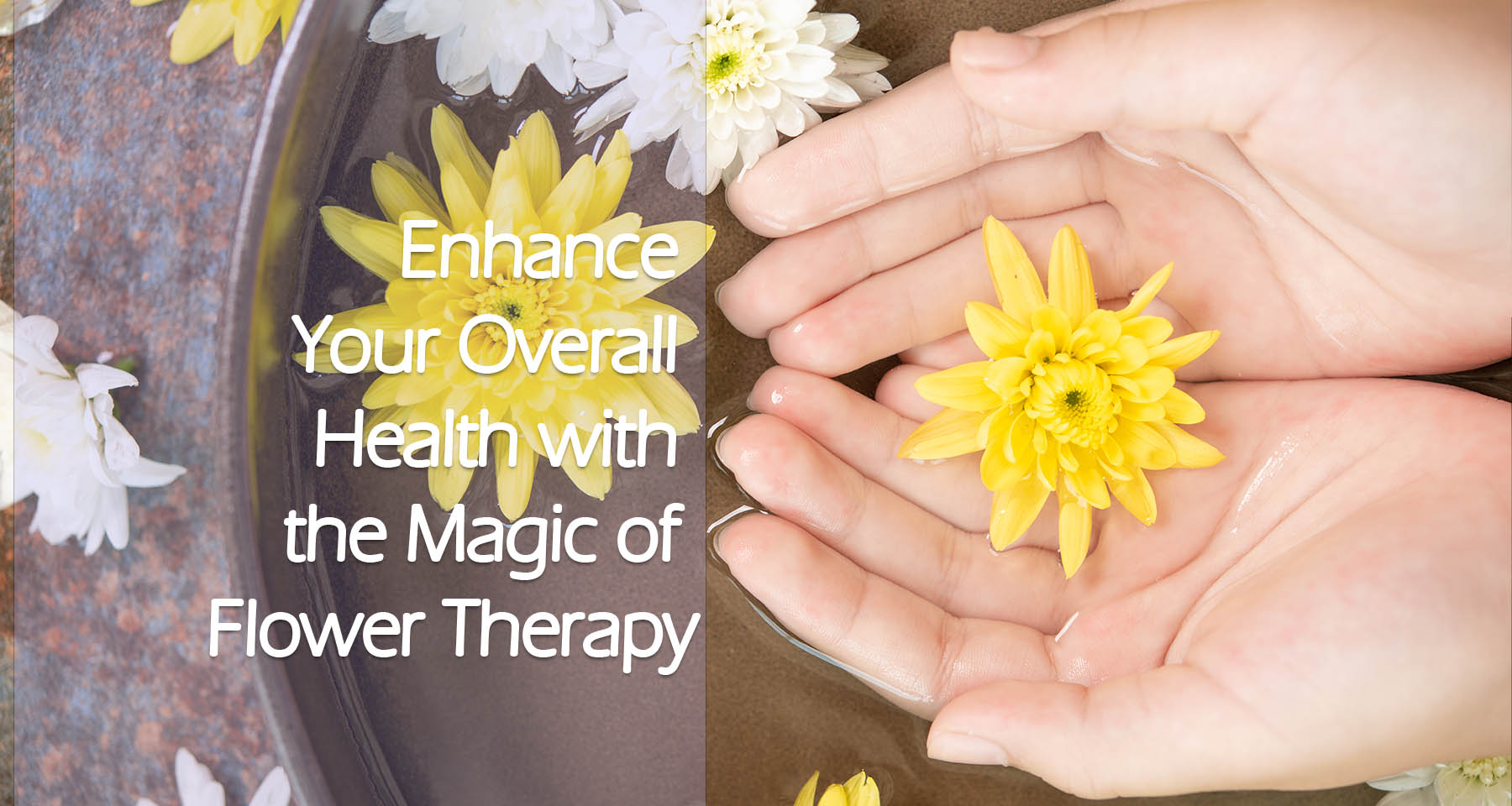 Discover Magic Of Flower Therapy | Flowers For Therapy Qatar