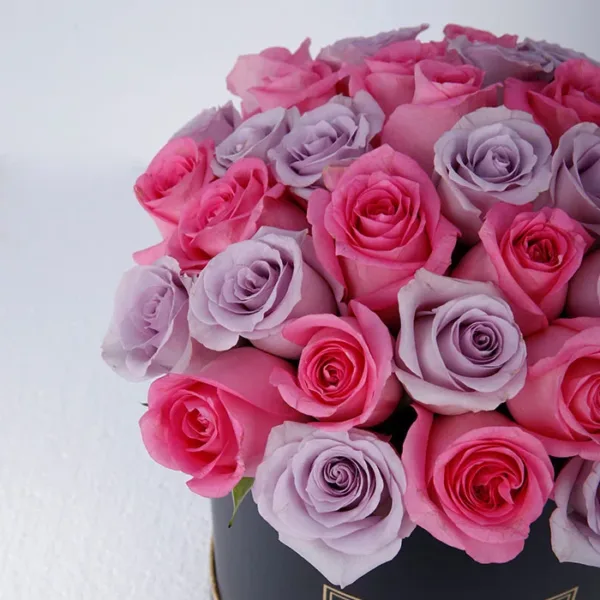 Pretty Pink And Purple Rose Box | Roses Box | BTF Oman