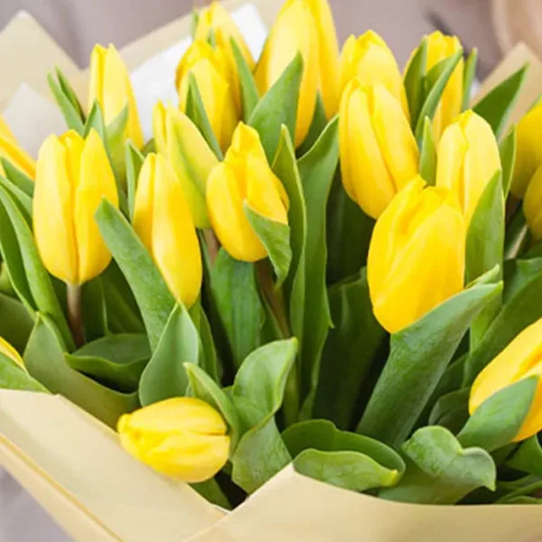Yellow Tulip Bouquet | Yellow Tulip Flowers | BTF Qatar