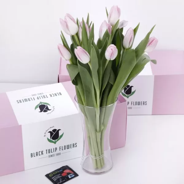 Beautiful Tulips Light Pink In A Box And Vase - BTF Qatar