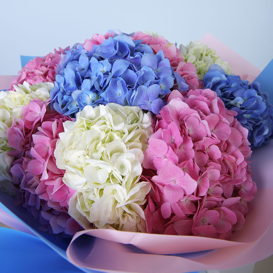 Send Hydrangea Bouquet Online | Pastel Dreams