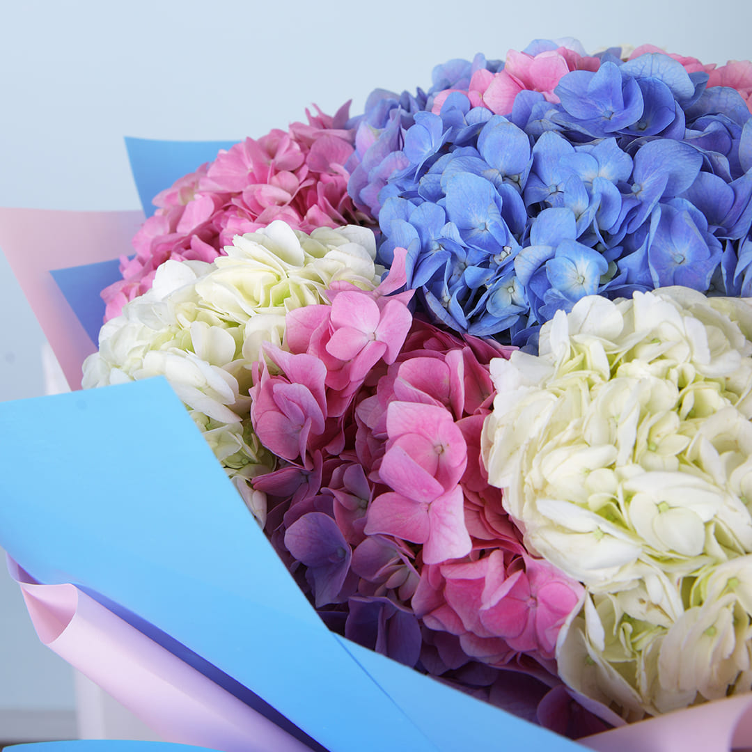 Send Hydrangea Bouquet Online | Pastel Dreams