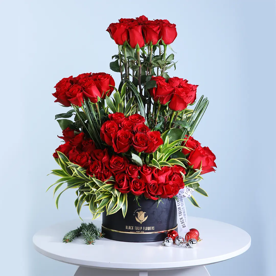 Red Roses | Regal Rouge Rose Harmony For Christmas