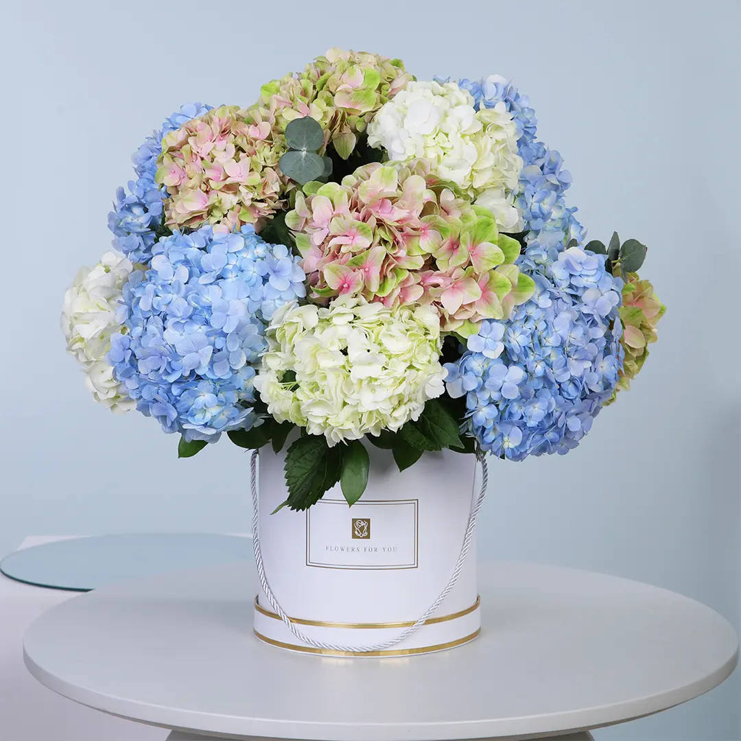 Pure Blossoming Love Hydrangeas Box Delivery Online