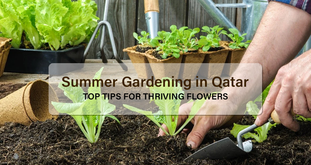 Summer Gardening In Qatar: Top Tips For Thriving Flowers - Black Tulip ...