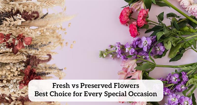 Fresh Vs Preserved Flowers: Best Choice For Every Special Occasion ...