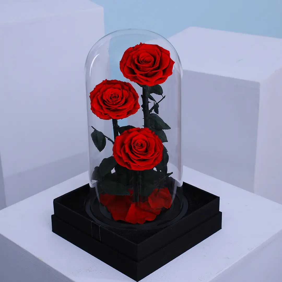 Red Trio Forever Roses | 3 Eternal Red Roses In Glass Dome