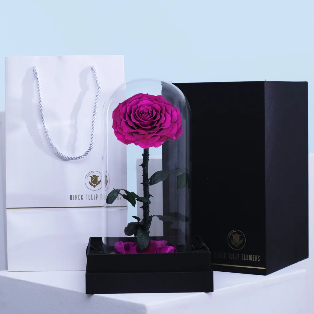 Single Purple Forever Rose - Black Tulip Flowers WLL