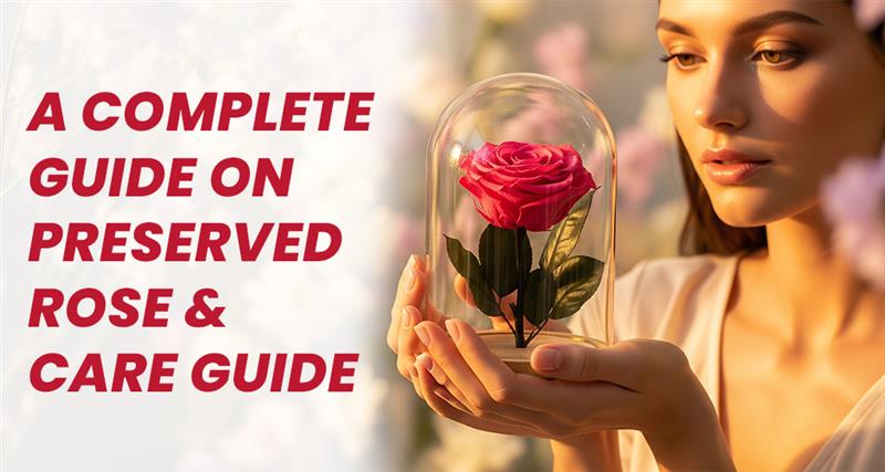 Preserve Roses Forever: Resin, Glycerin & Air-Drying Guide